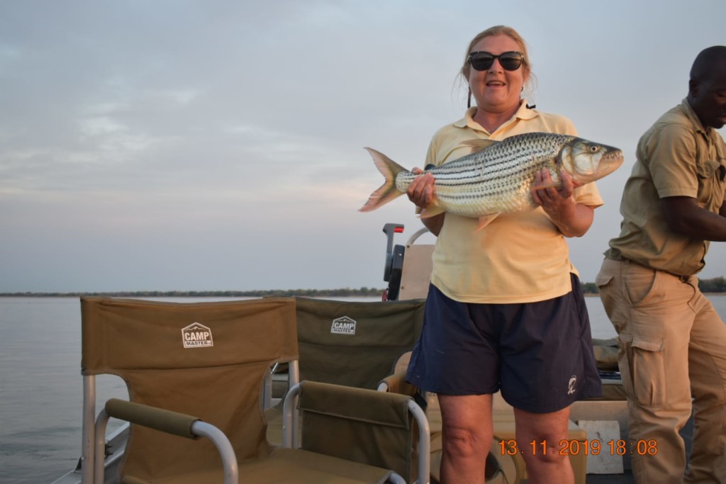 White Tiger Spinning Rod - 3pce 3-5kg 1.8 meters Out of the Blue Tackle